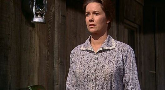 Those Calloways (1965) – My Live Action Disney Project