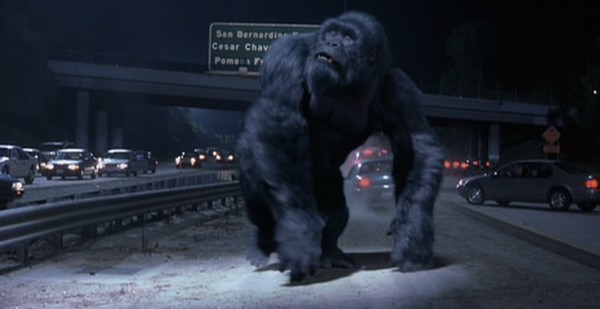 Mighty Joe Young (1998) – My Live Action Disney Project
