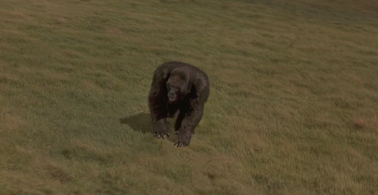 Mighty Joe Young (1998) – My Live Action Disney Project