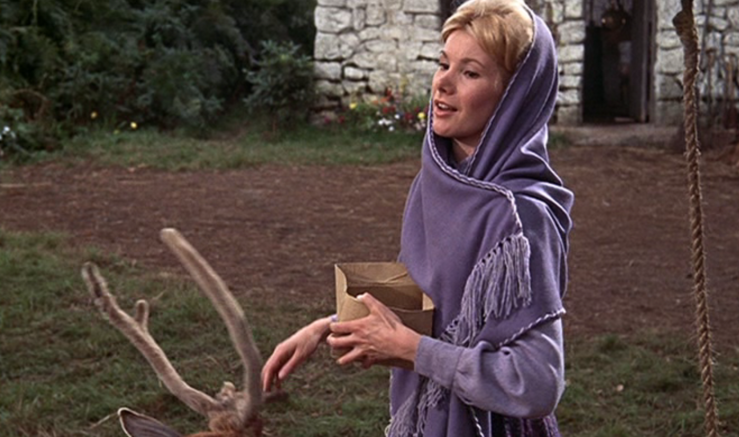 The Three Lives of Thomasina (1964) – My Live Action Disney Project
