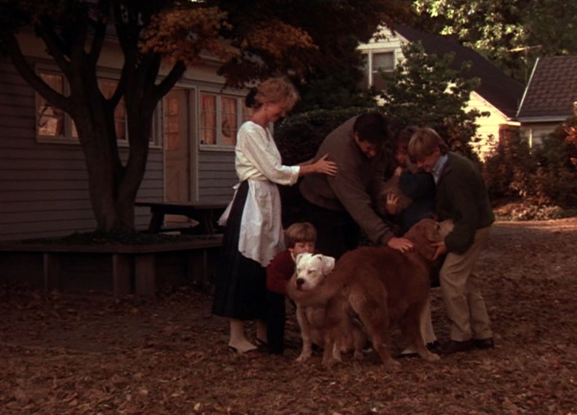 Homeward Bound: The Incredible Journey (1993) – My Live Action Disney ...