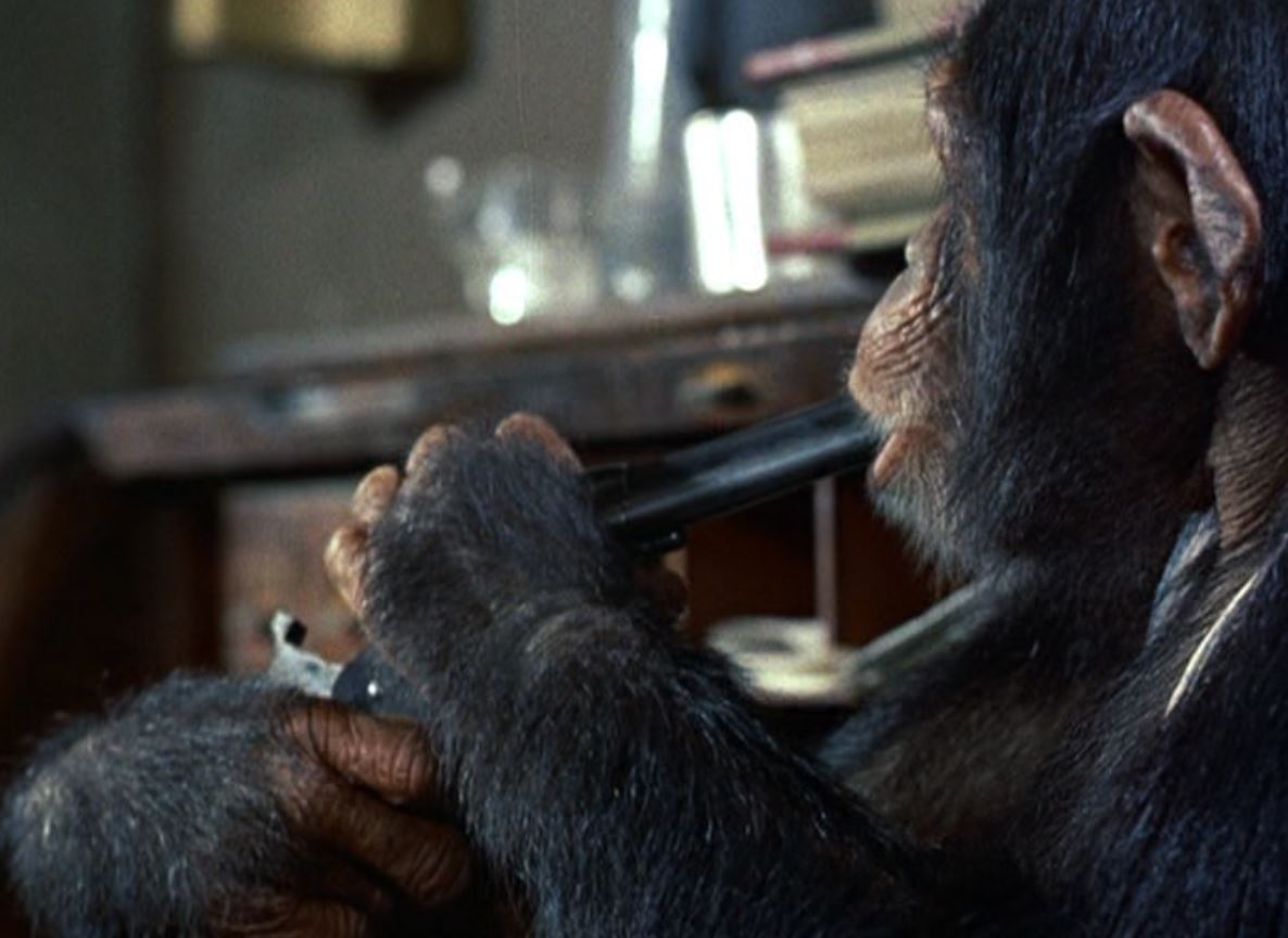 tobytylerchimpanzee2 – My Live Action Disney Project