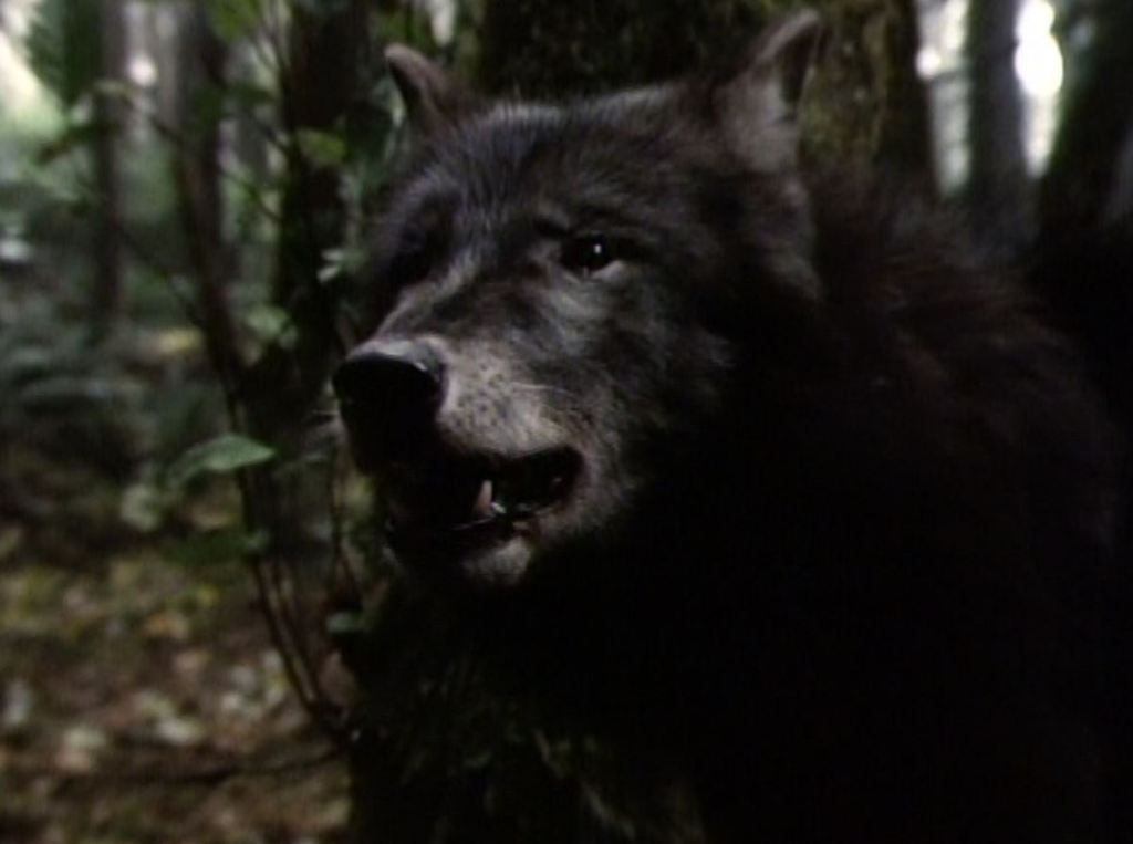 Benji the Hunted (1987) – My Live Action Disney Project