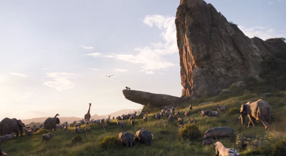 Lionkingpriderock My Live Action Disney Project