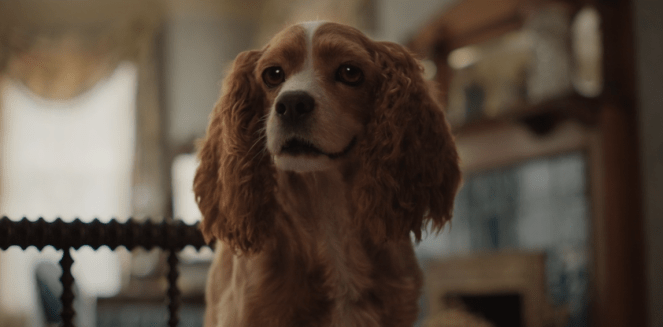 Lady and the Tramp (2019) – My Live Action Disney Project