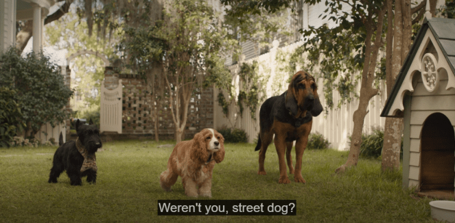 Lady and the Tramp (2019) – My Live Action Disney Project