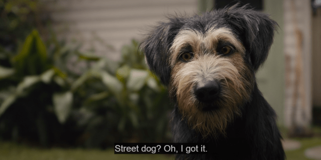 Lady and the Tramp (2019) – My Live Action Disney Project