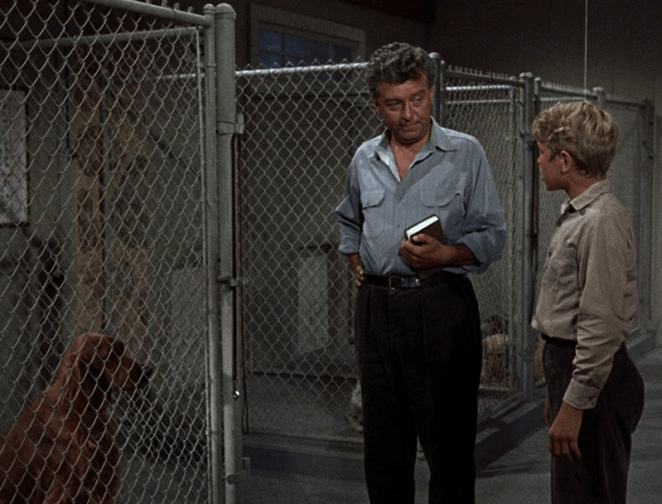 Big Red (1962) – My Live Action Disney Project