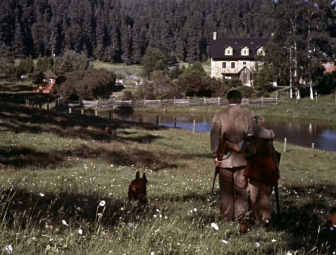 Big Red (1962) – My Live Action Disney Project