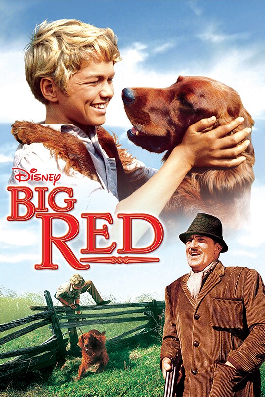 Big Red (1962) – My Live Action Disney Project